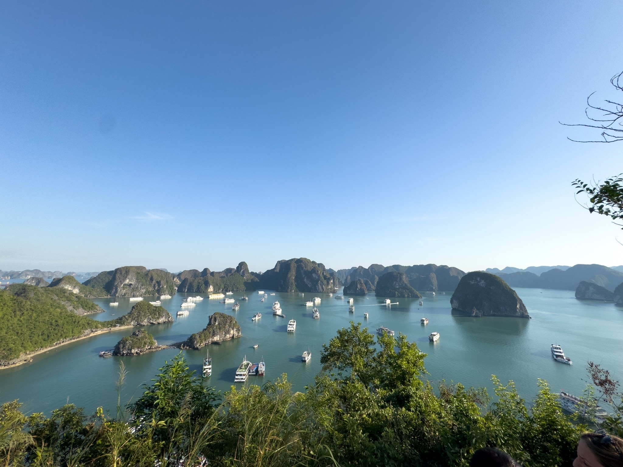 株式会社TOGSが支援するベトナムオフショア開発企業と日本企業（一部上場大手Sler）との直接開発を促進 – 株式会社TOGS