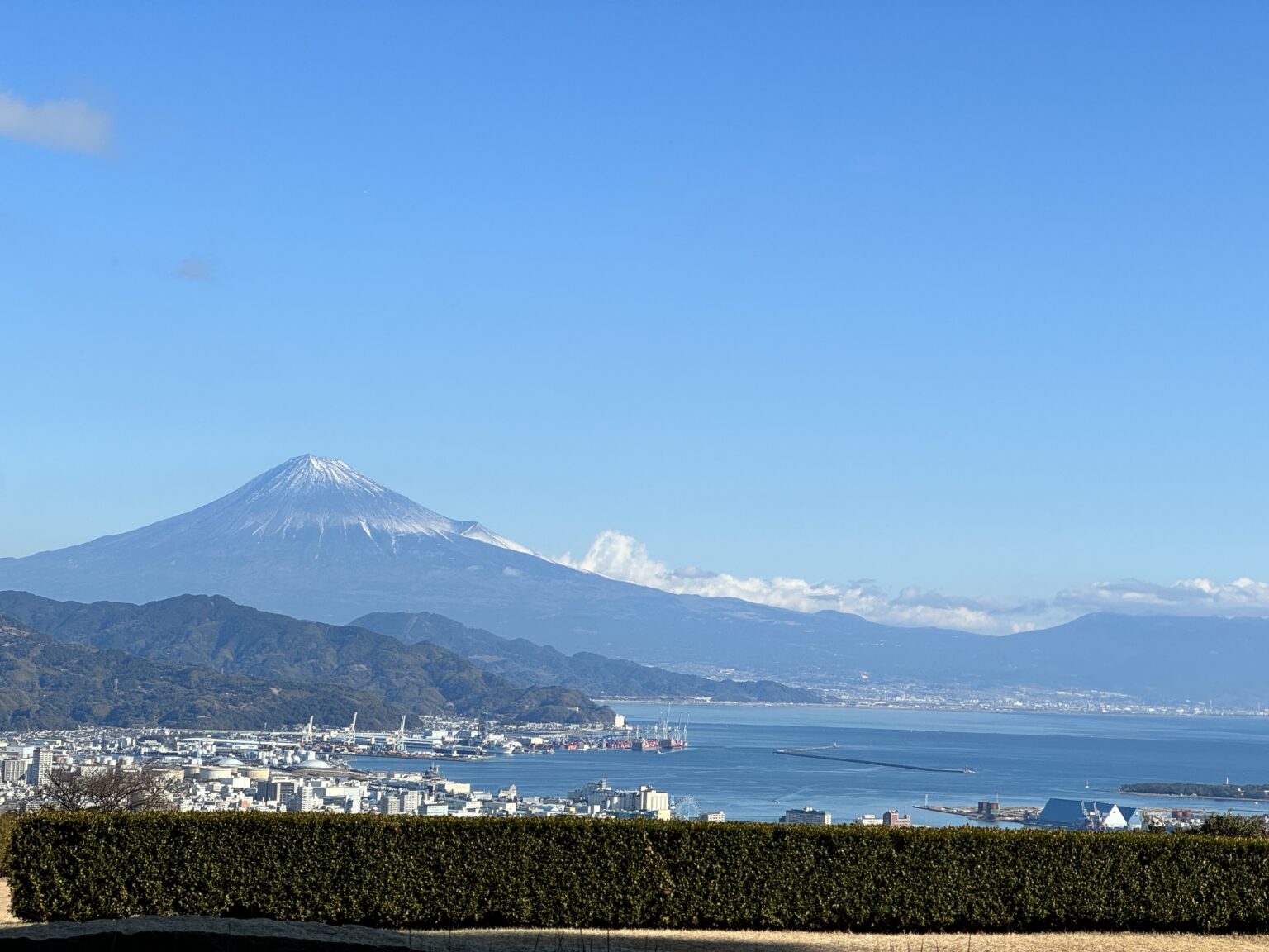 株式会社TOGS 社外取締役に貝瀬 幸敏が就任 – 株式会社TOGS